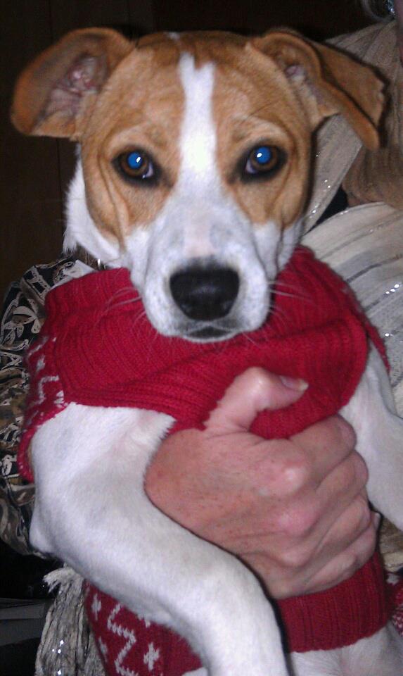 Reality TV Project | Indiegogo