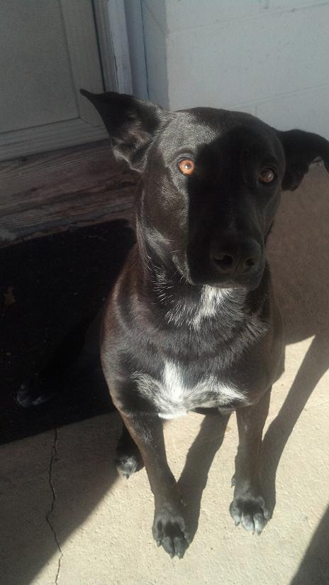 Reality TV Project | Indiegogo