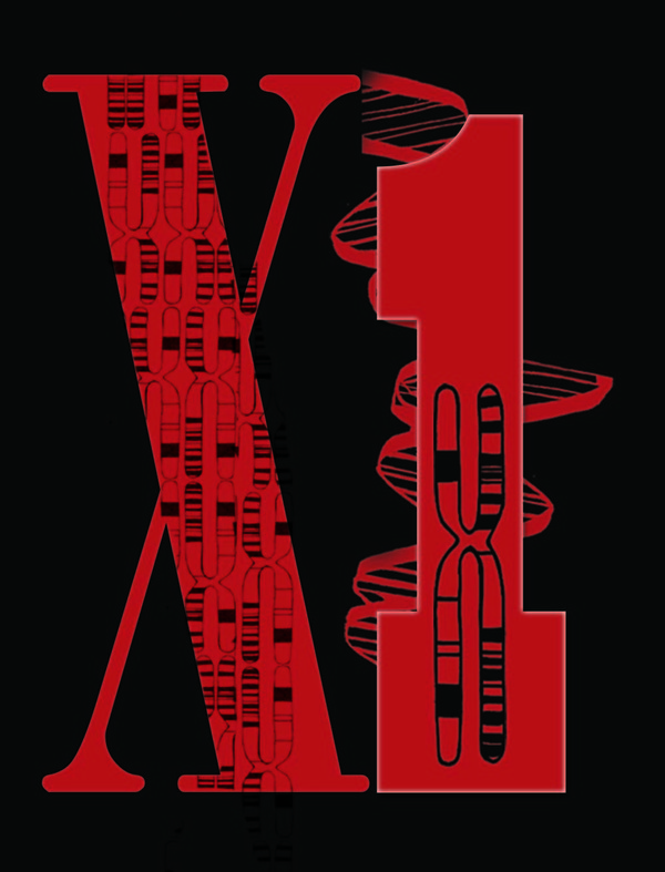 Parallel Lines | Indiegogo