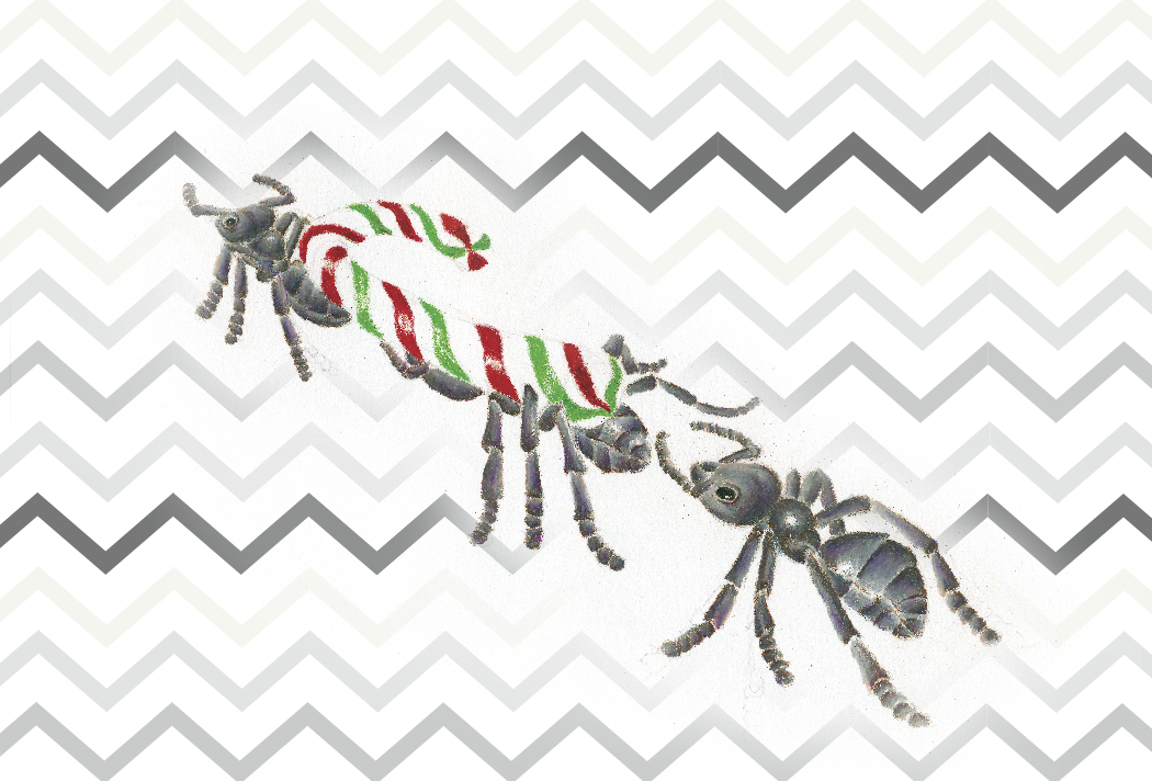 The Ant Connection: Connect Me to France through Ants | Indiegogo