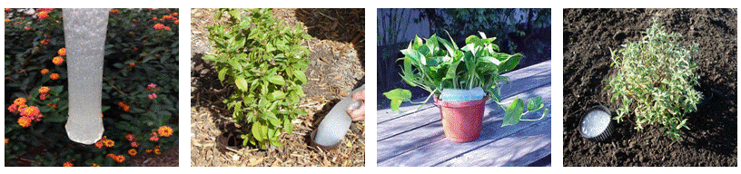 New Sustainable Time Release Water Delivery System | Indiegogo