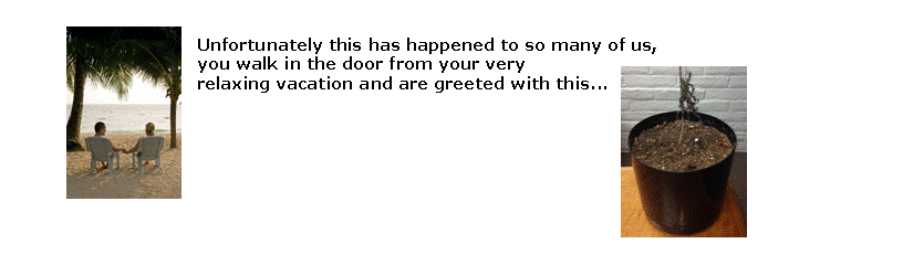 New Sustainable Time Release Water Delivery System | Indiegogo