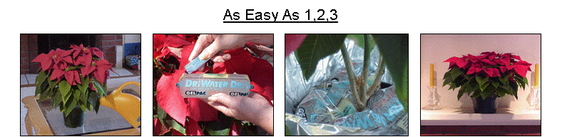 New Sustainable Time Release Water Delivery System | Indiegogo