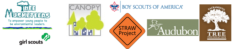 New Sustainable Time Release Water Delivery System | Indiegogo