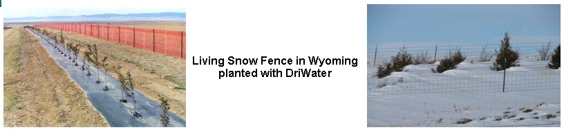 New Sustainable Time Release Water Delivery System | Indiegogo