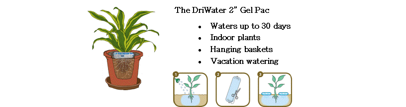 New Sustainable Time Release Water Delivery System | Indiegogo