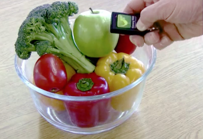 Canary 100 Alpha Radiation Detector | Indiegogo