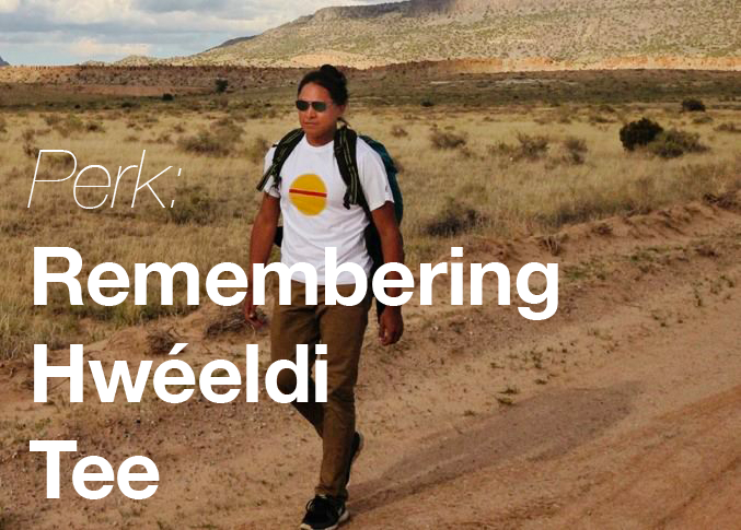 Dine' Bizaad: Navajo Language & Cultural Perpetuation | Indiegogo