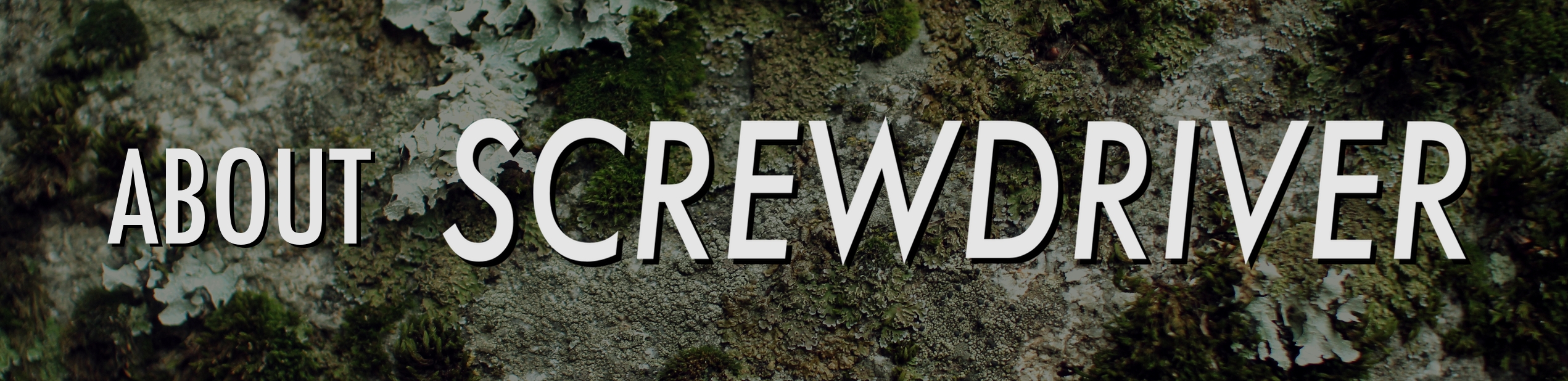 Screwdriver, A Short Film | Indiegogo