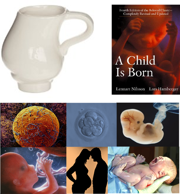 Develop Pregmamas therapy to prevent miscarriage, infertility & birth ...